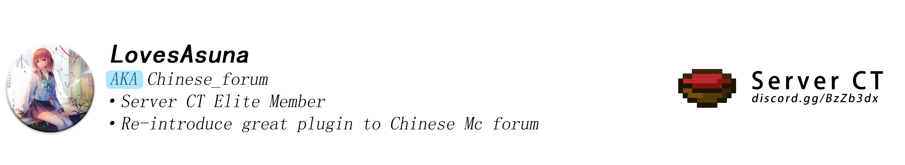 Spigot - MultiLogin | SpigotMC - High Performance Minecraft Community