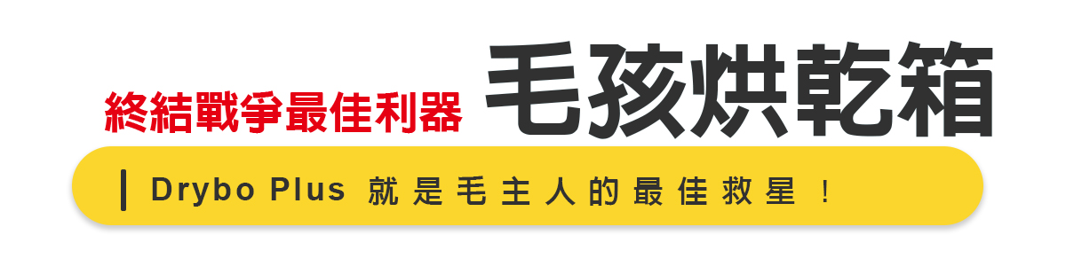 嘖嘖 | 【 Drybo Plus 霍曼寵物烘毛箱｜最舒適、最聰明的毛孩烘乾箱 】解放奴才雙手，毛孩只要小睡一會兒，全身乾爽溜溜！😺🐶