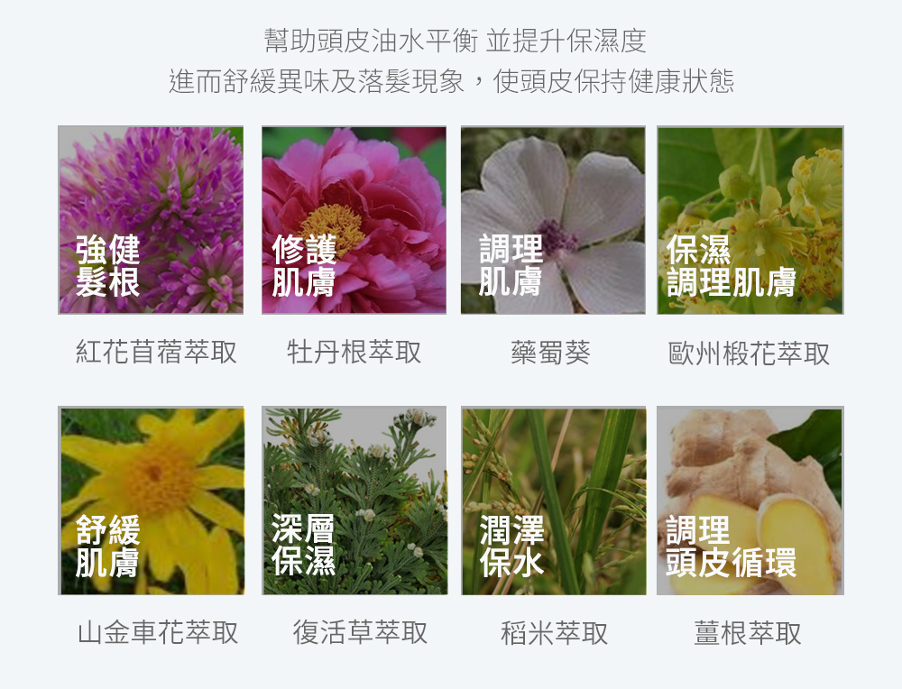 嘖嘖 | basiiK 微生自律循環洗護系列｜Kevin 老師專為亞洲人髮膚打造 頭皮淨化調理新對策